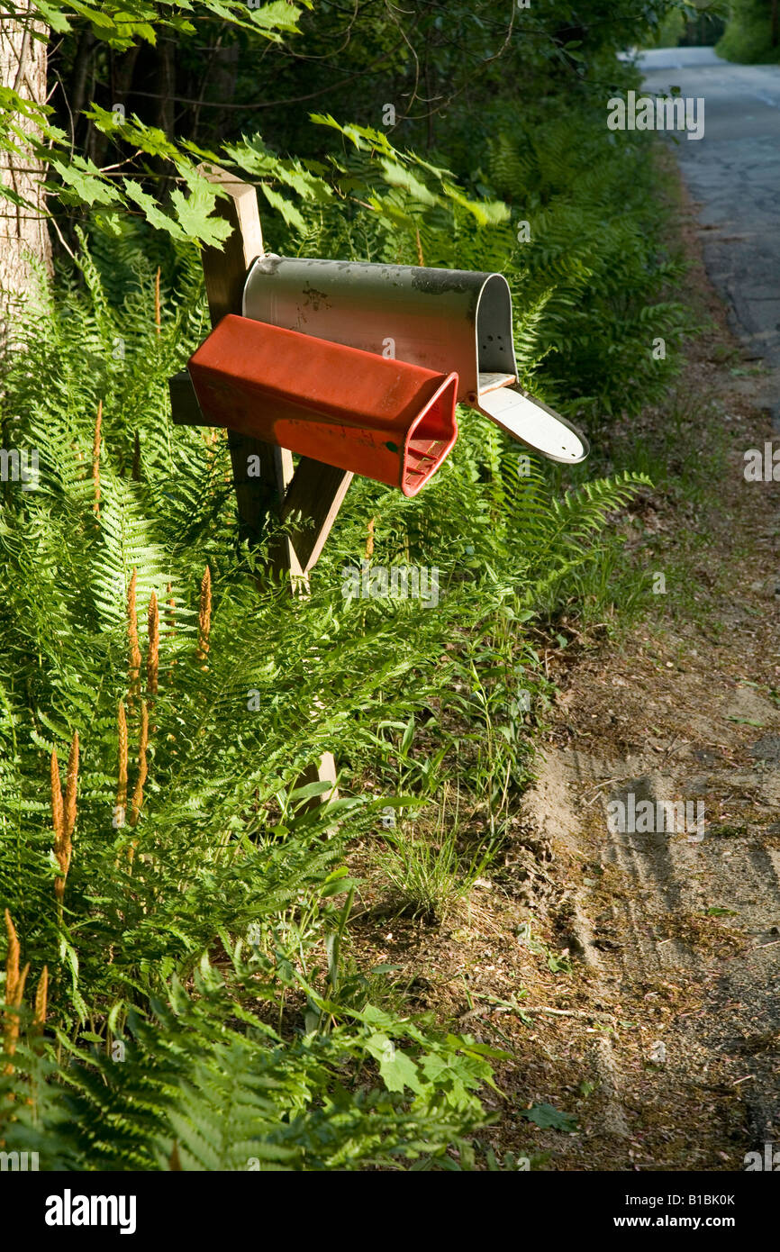 Photograph of a newspaper box and mail box on the side of a country ...