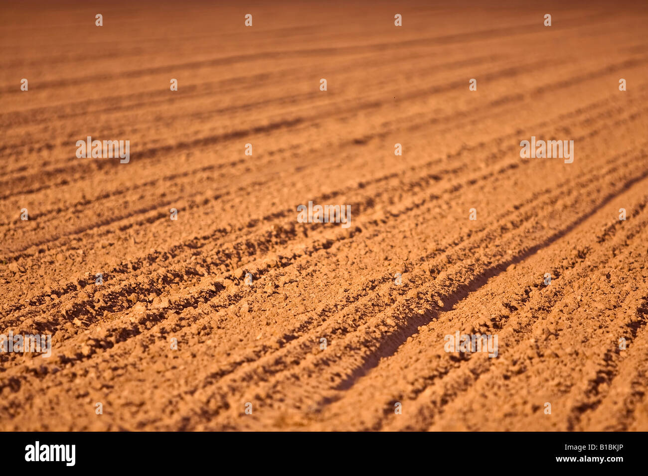 Background texture agricultural field hi-res stock photography and ...