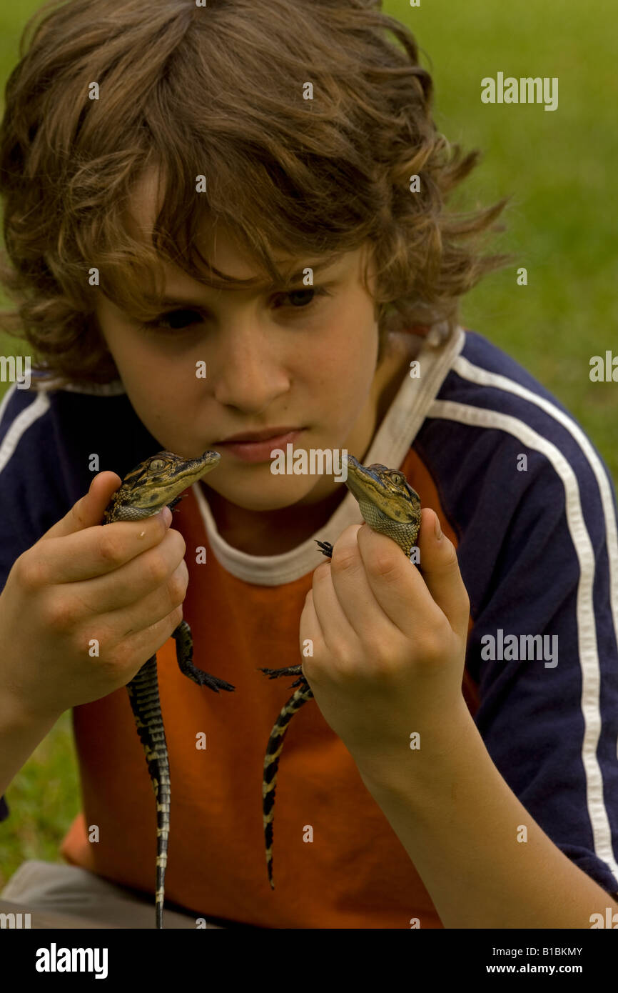 Boy Holding Young American Alligators (Alligator mississippiensis ...