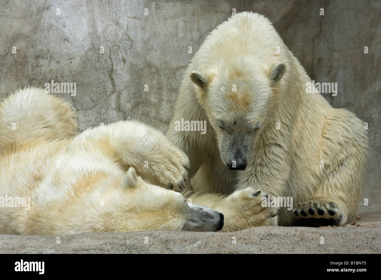 Humour hi res hi-res stock photography and images - Alamy