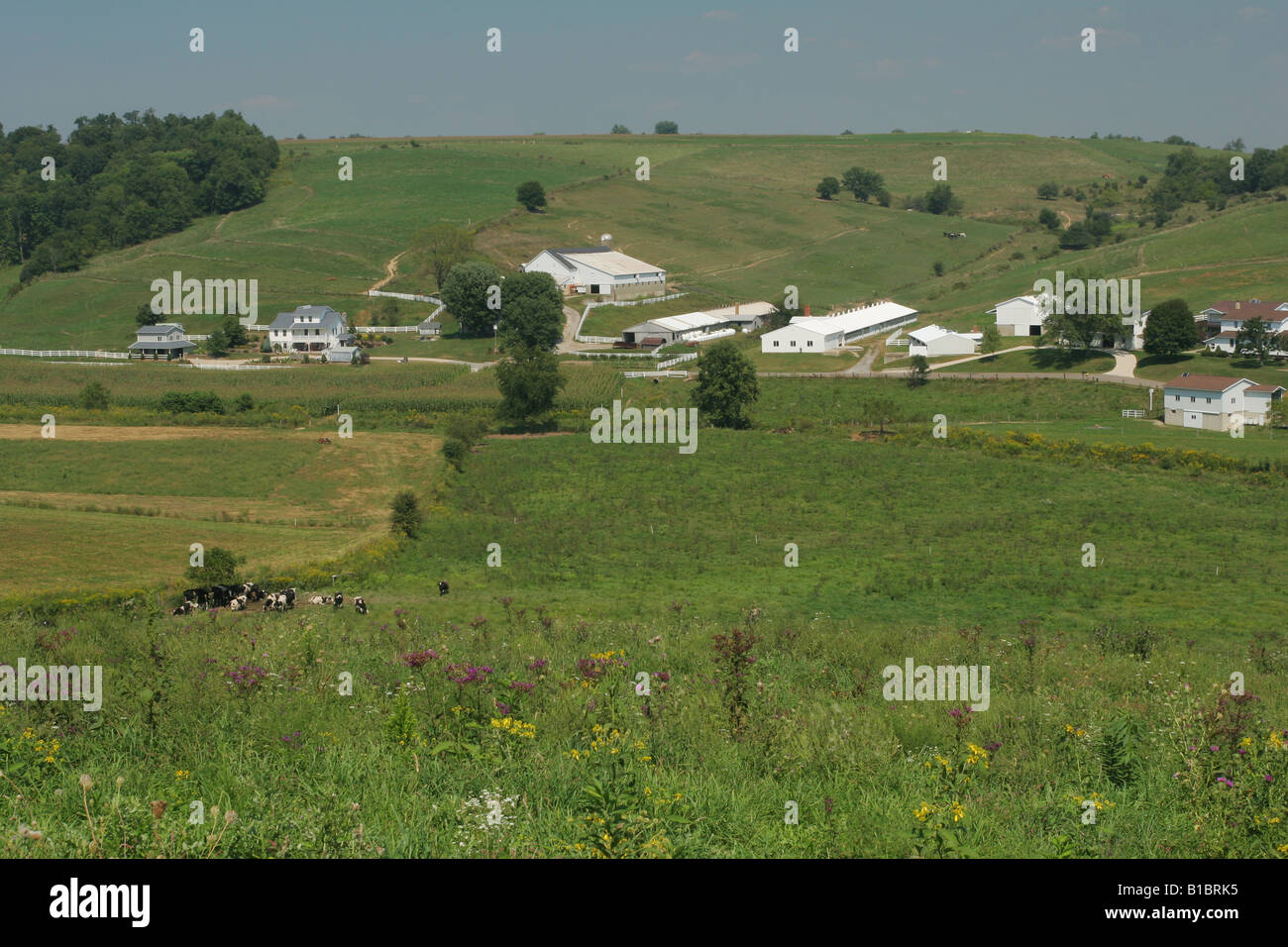 Amish Country Farm Central Ohio Near Berlin Ohio Stock Photo - Alamy