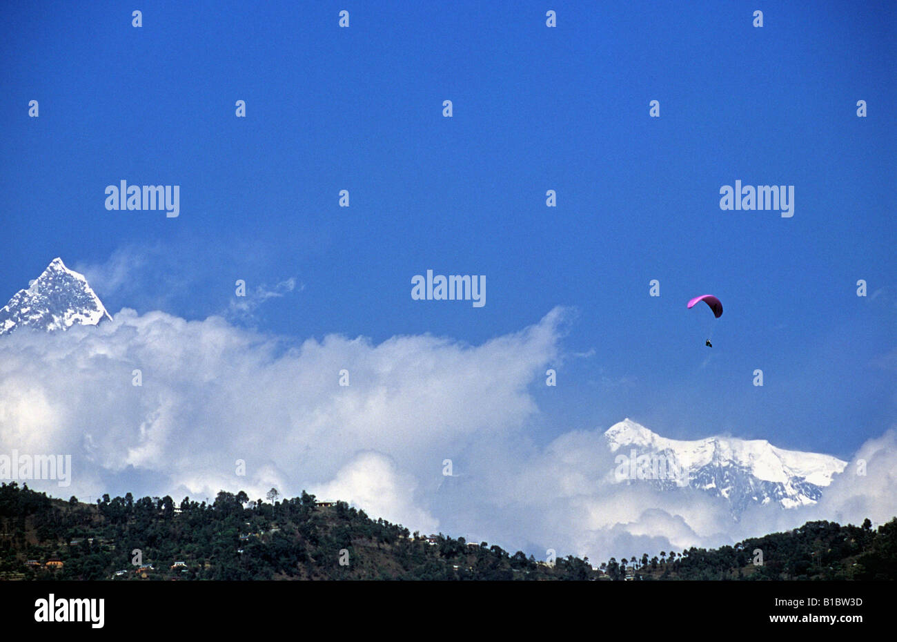 Paraglider in the Himalayas,Annapurna,Nepal Stock Photo - Alamy