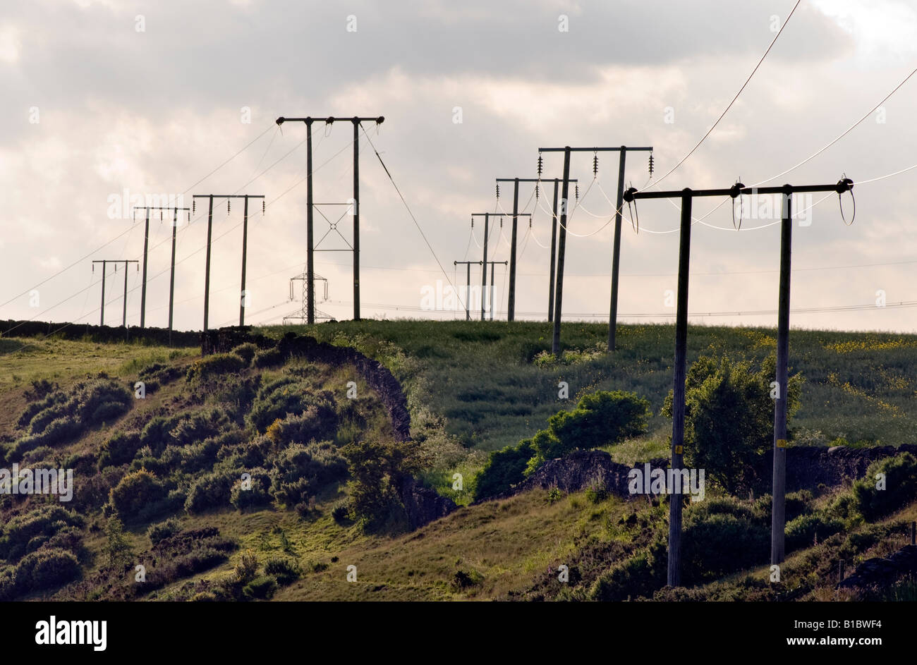 Wooden electricity poles along the top of "Hunshelf Bank " in Sheffield ...