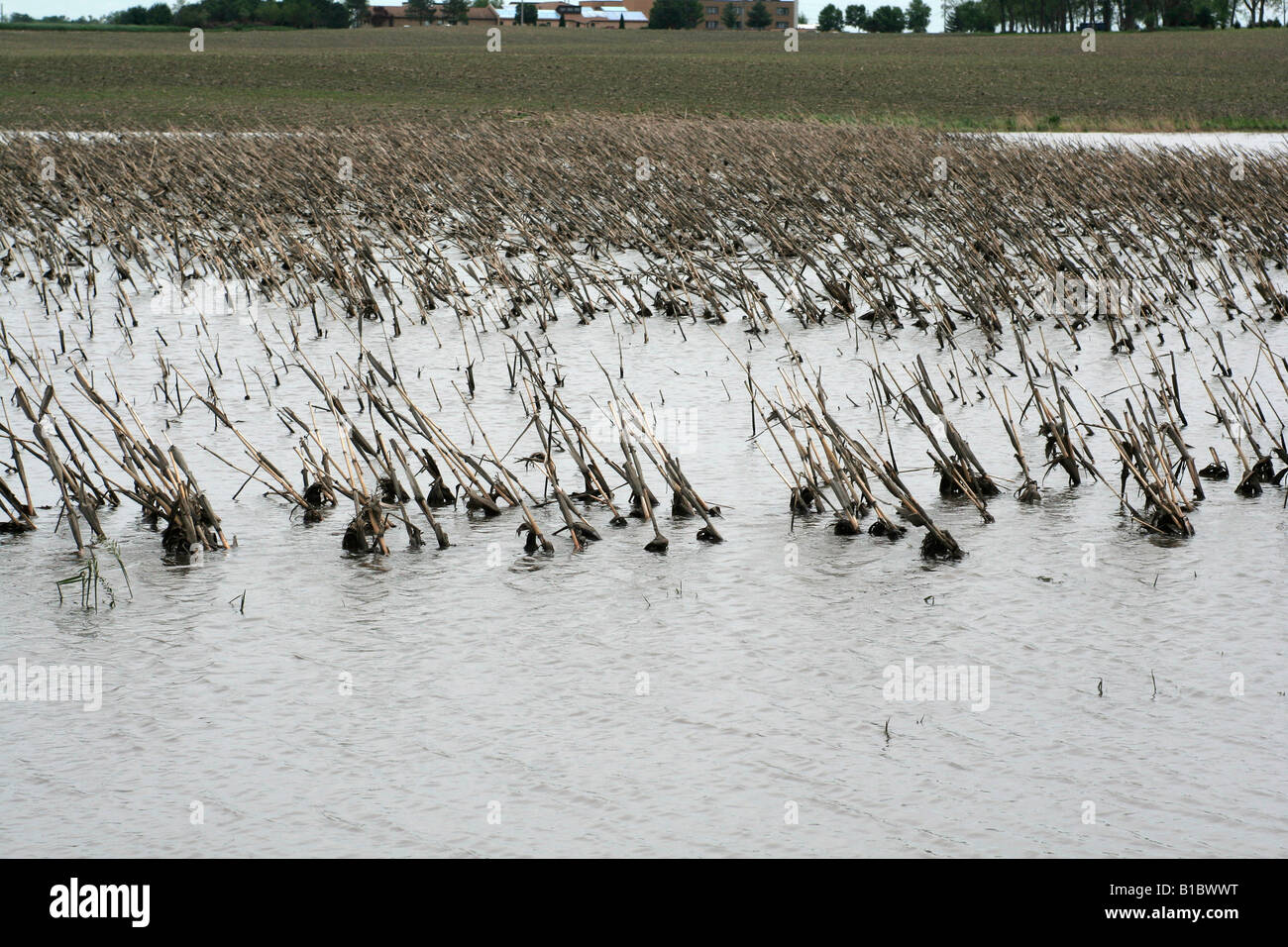 Sodden fields hi-res stock photography and images - Alamy