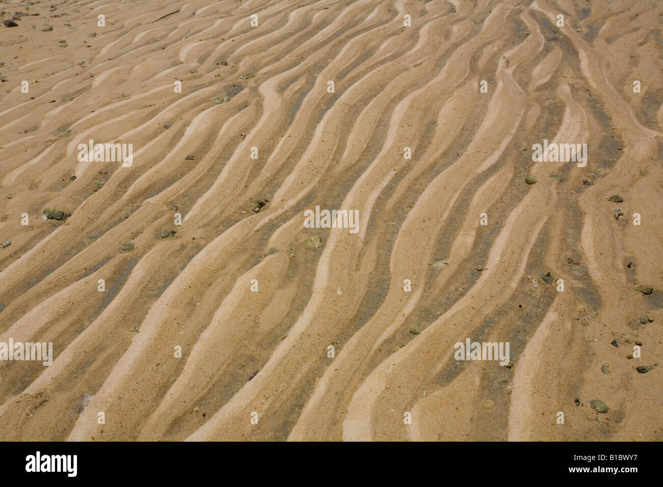 sand pattern on beach Stock Photo - Alamy