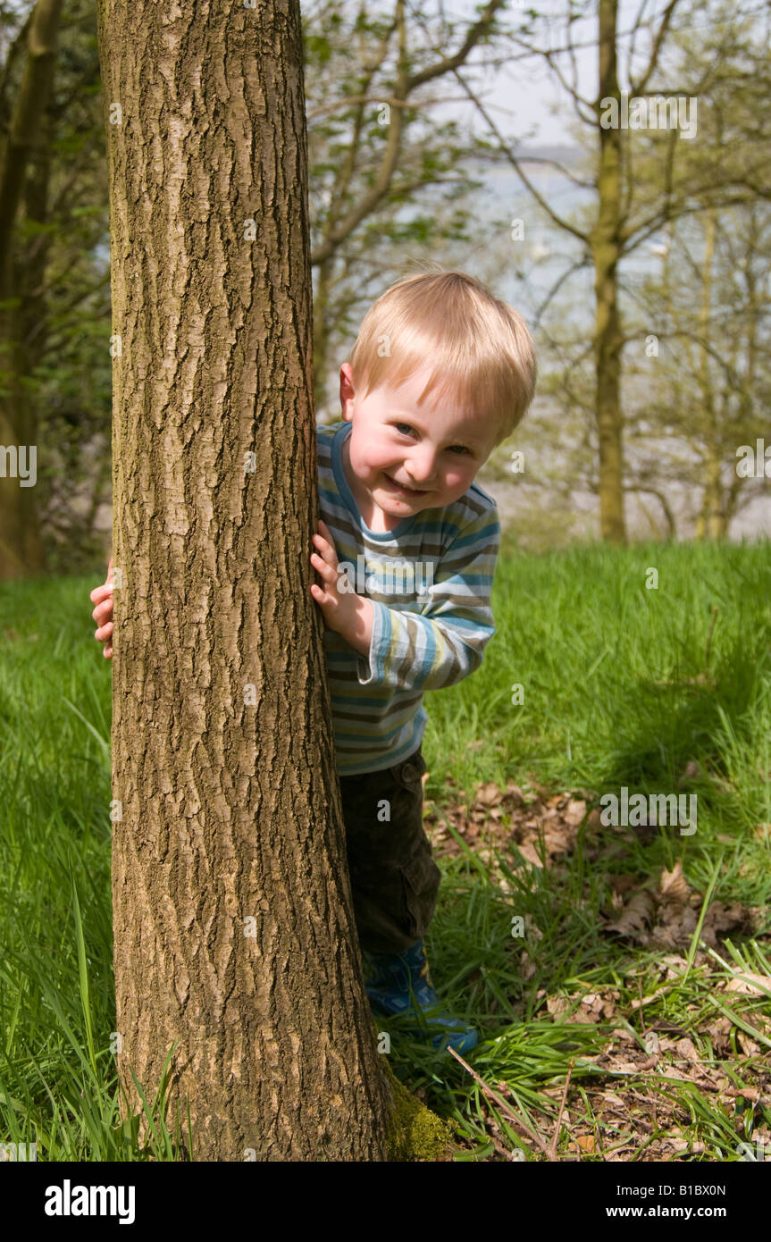 Young boy looking round tree Stock Photo - Alamy