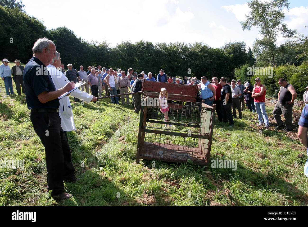 Auctioneer at Farm yard sale Pentyrch Cardiff, South Wales, UK Stock ...