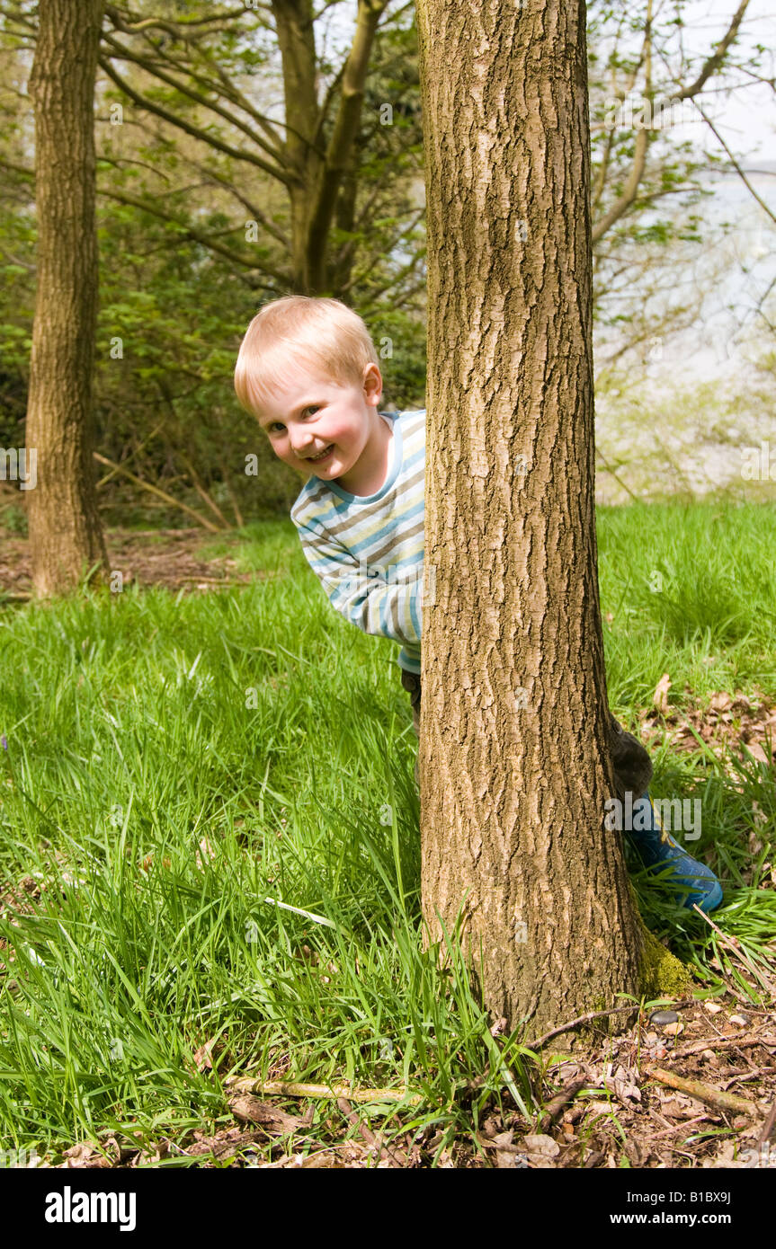 Young boy looking round tree Stock Photo - Alamy