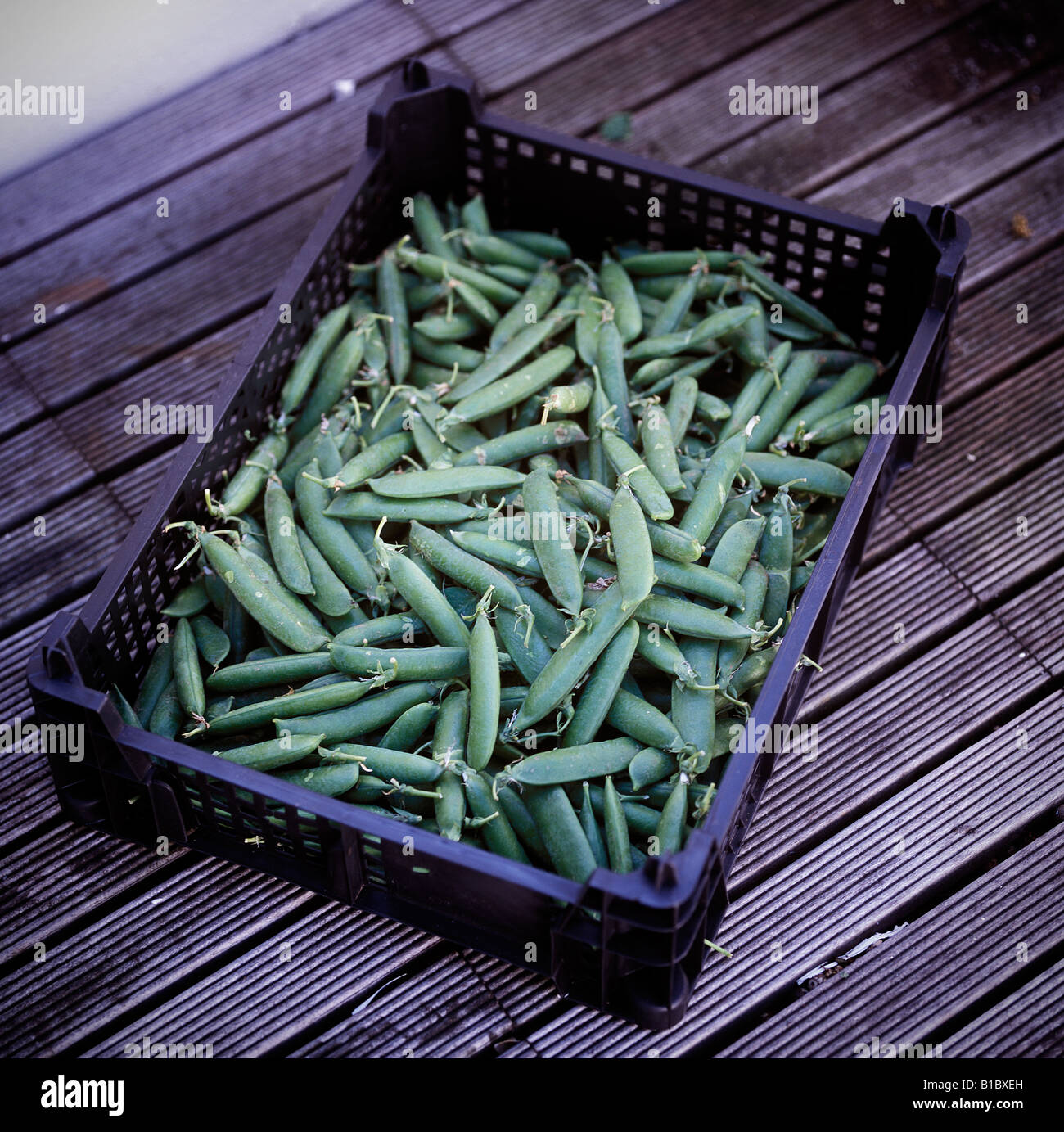 a tray of peas Stock Photo - Alamy