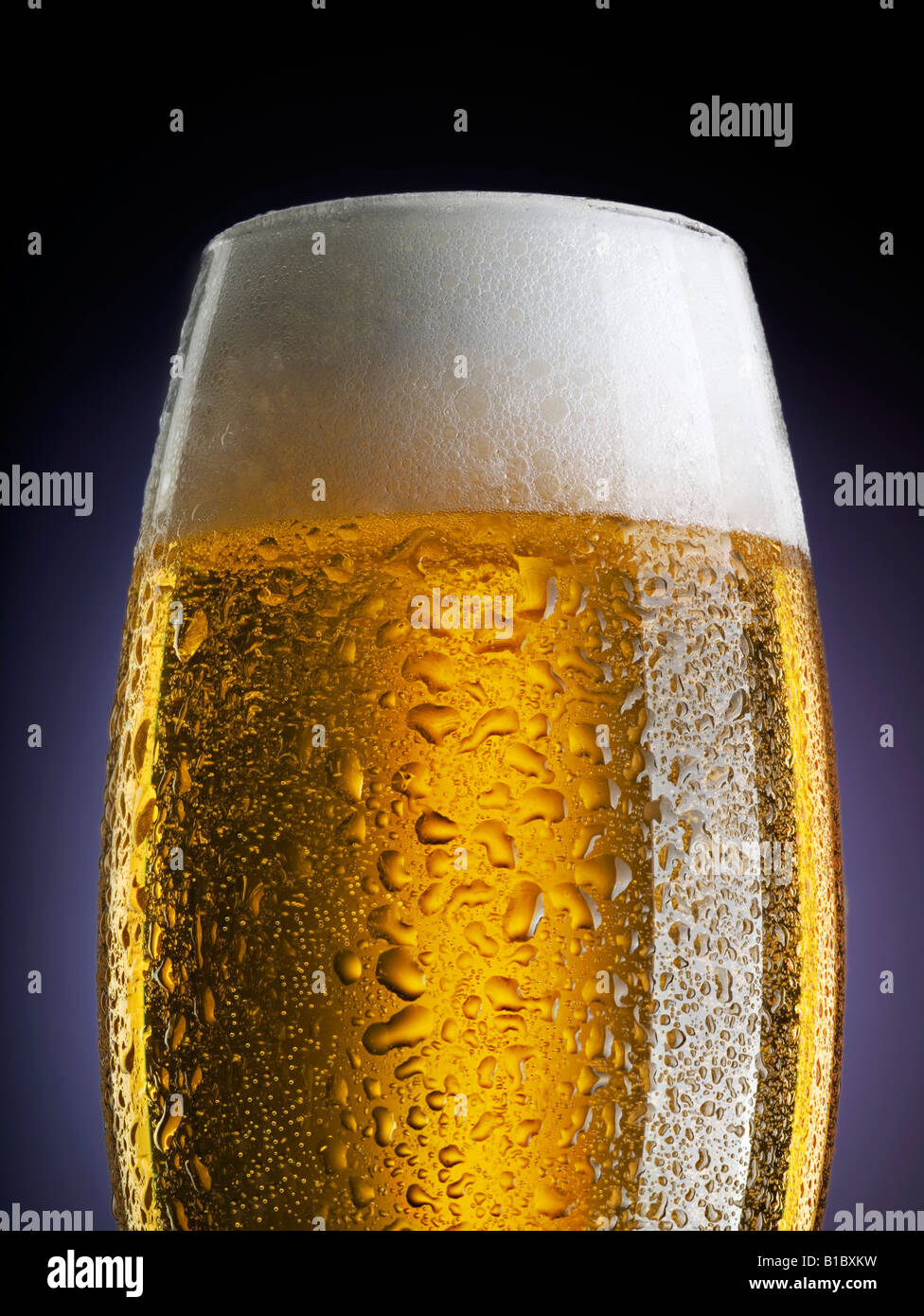 Glass of ice cold beer Stock Photo - Alamy