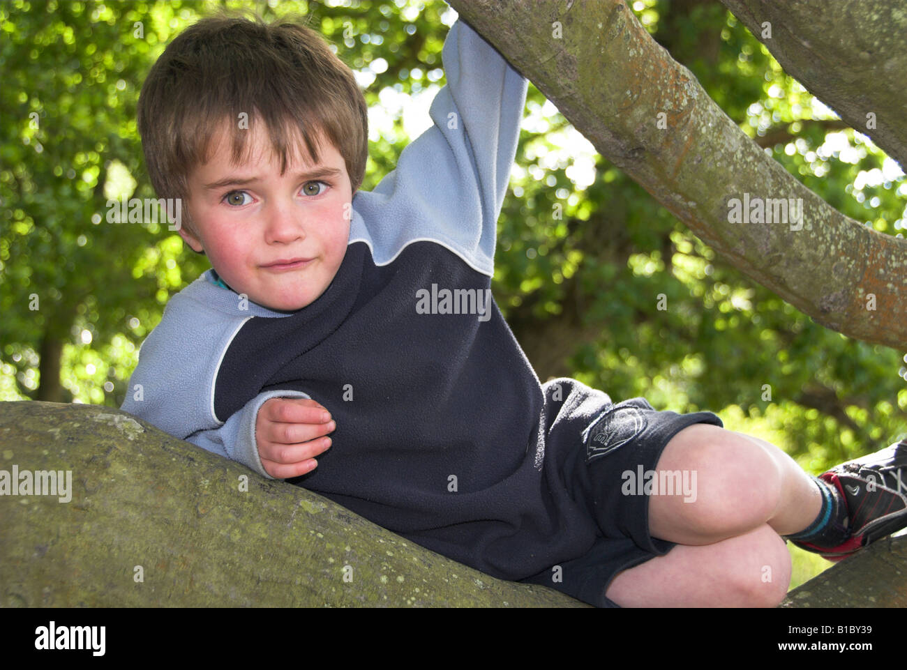 Little Boy Resting In a Tree Stock Photo - Alamy