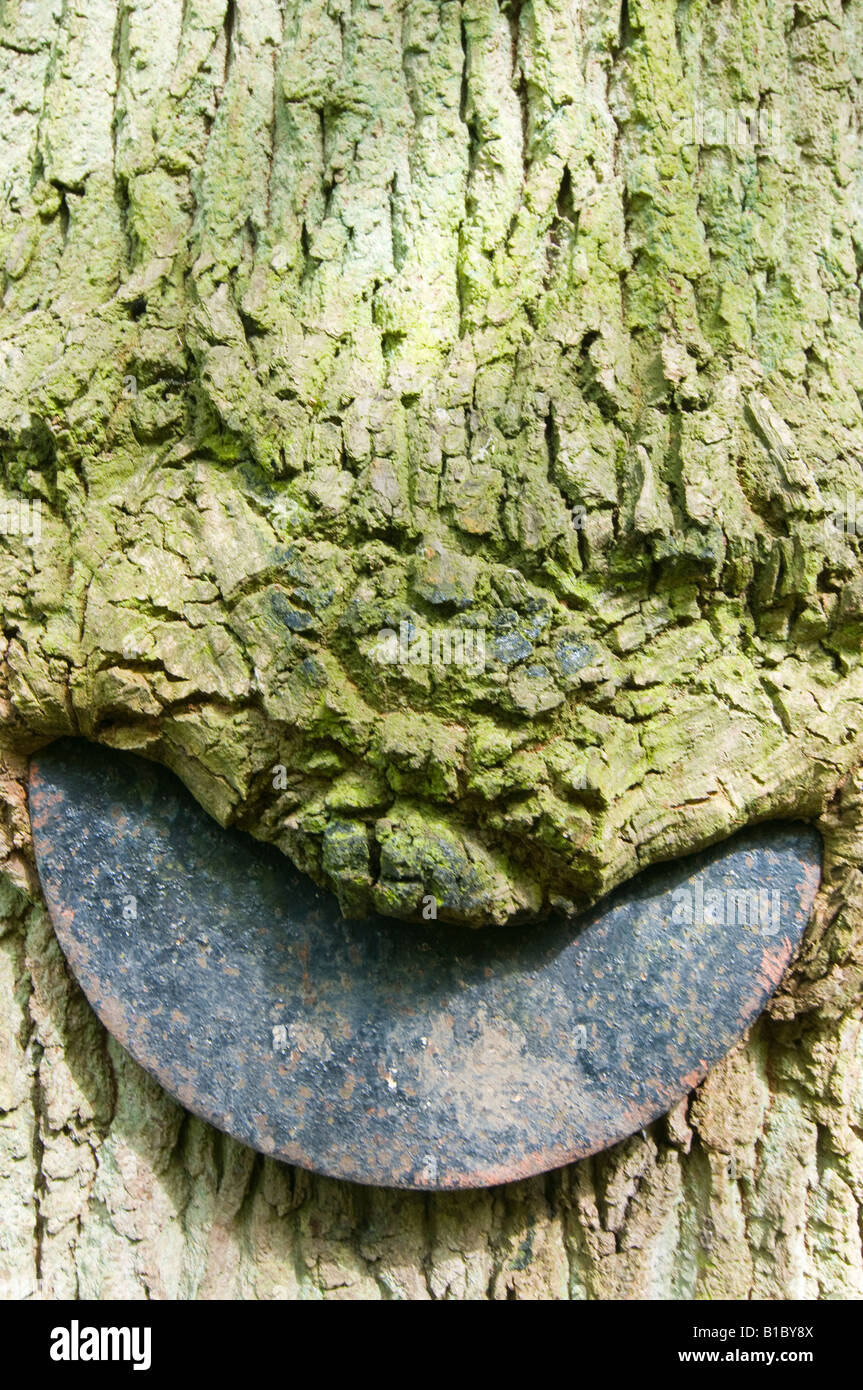 Metal disc embedded in tree that bark has partially grown over Stock ...