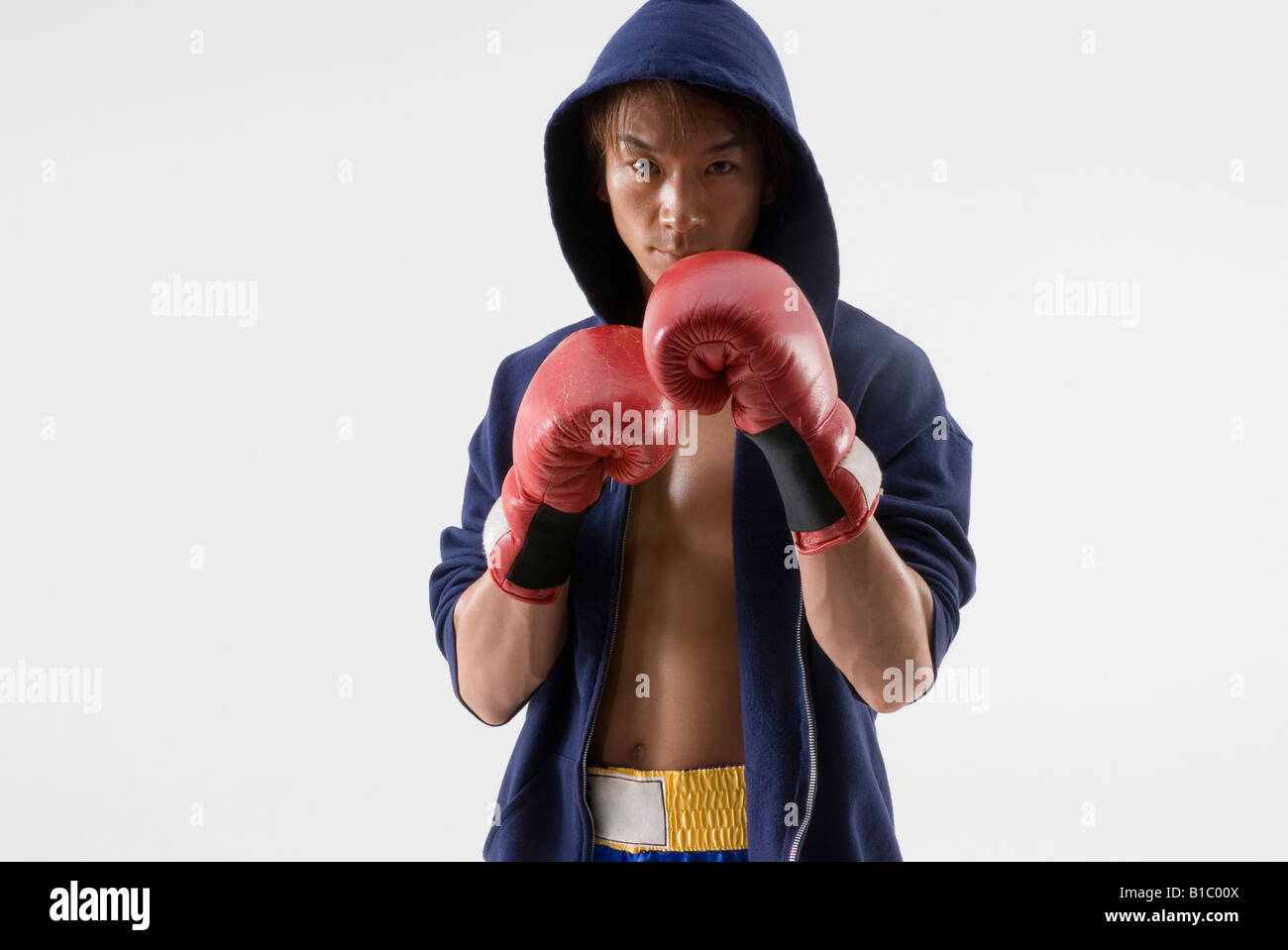 Japanese boxer hi-res stock photography and images - Alamy
