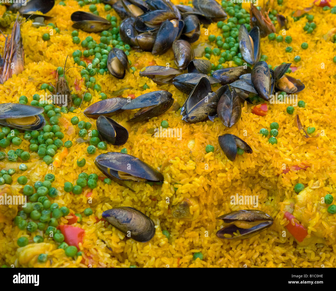 Southern france seafood hi-res stock photography and images - Alamy