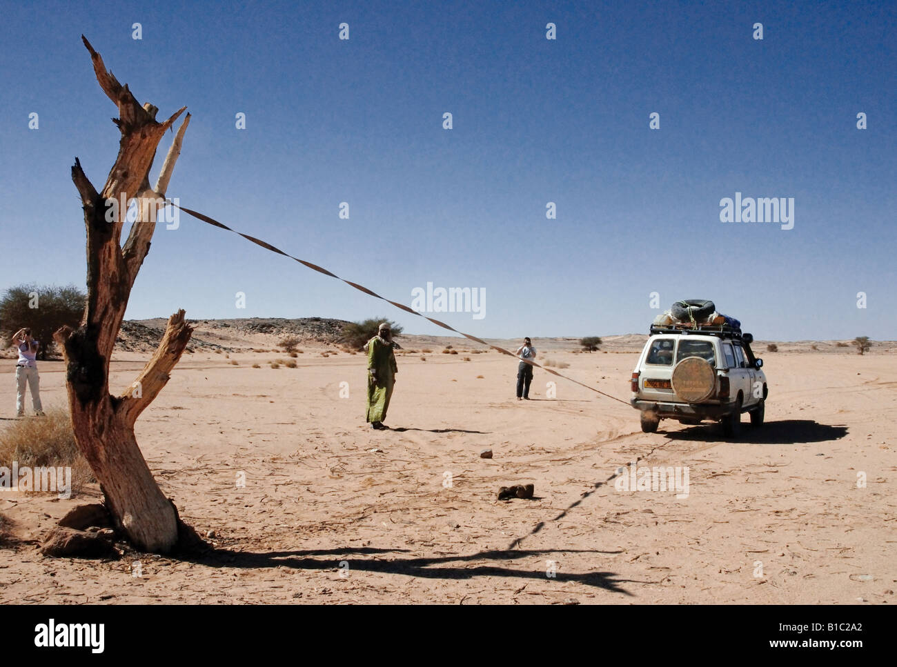 geography / travel, Algeria, tourism, Tuareg is taking out a Acacia ...