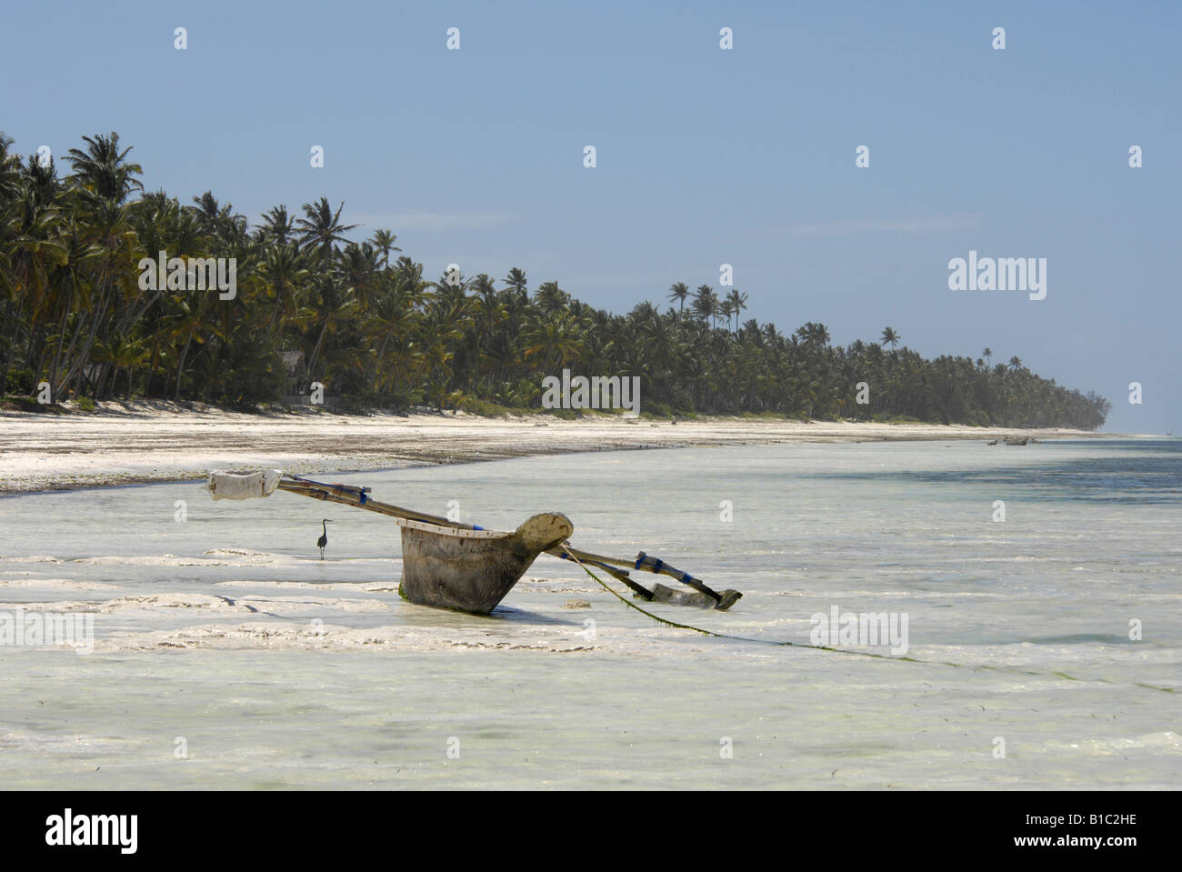 Palm trees bwejuu beach zanzibar hi-res stock photography and images ...