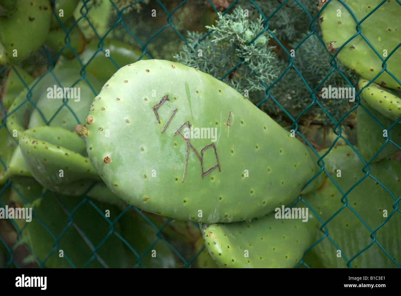 Word ciao meaning hello goodbye hi-res stock photography and images - Alamy