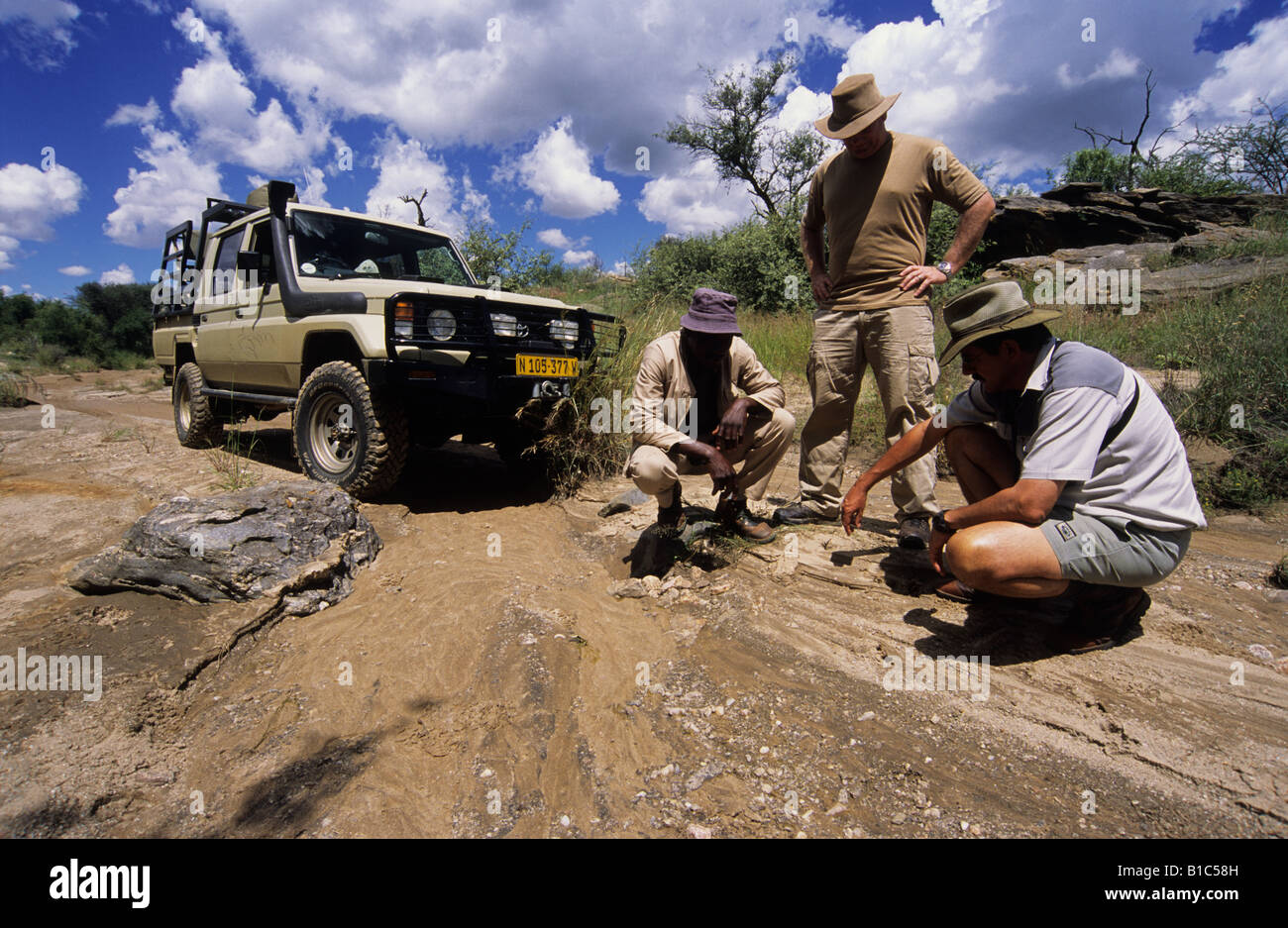 Hunting, 3 adult men looking at game tracks in riverbed, trophy hunt ...