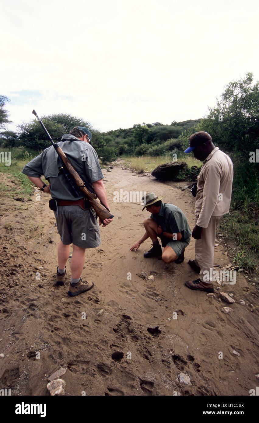 People, professional hunter with client and game tracker looking signs ...