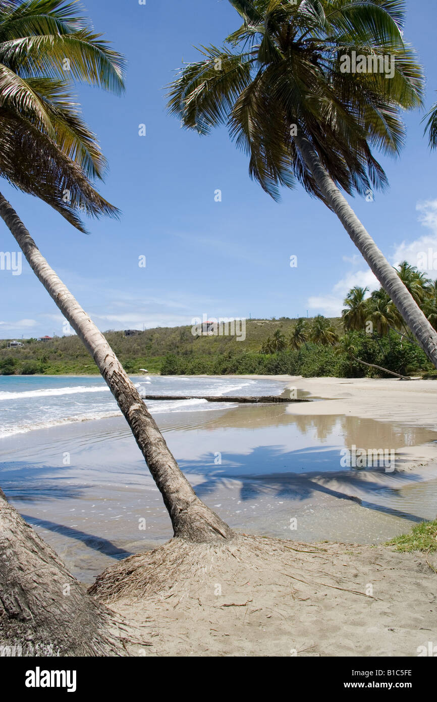 La sagesse beach grenada hi-res stock photography and images - Alamy