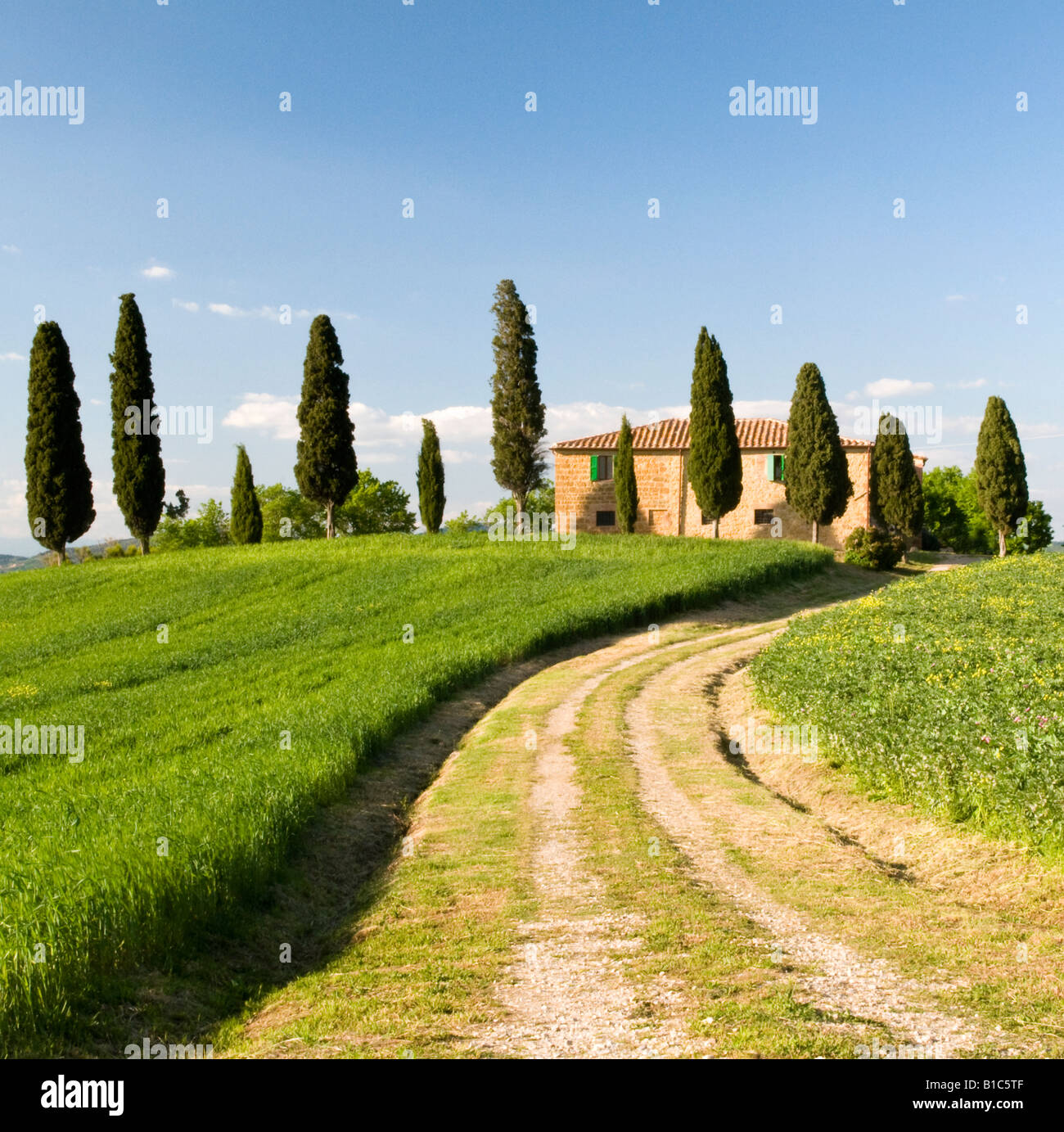 Cypress hi-res stock photography and images - Alamy