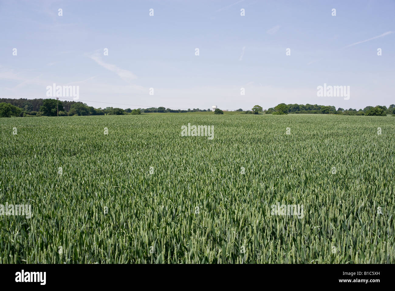 Water tower corn field hi-res stock photography and images - Alamy