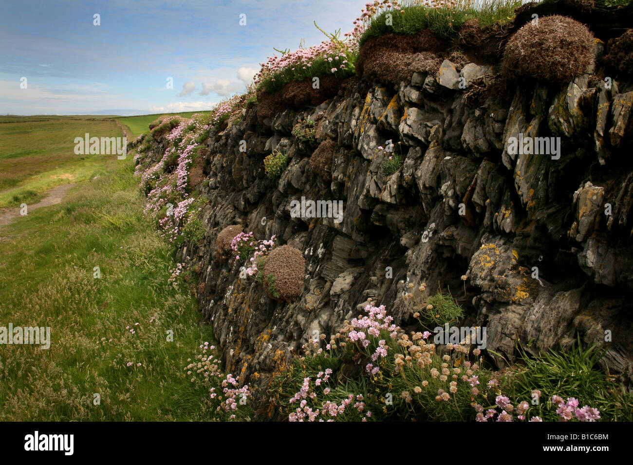 Dry Stone Wall Cornwall Stock Photo - Alamy