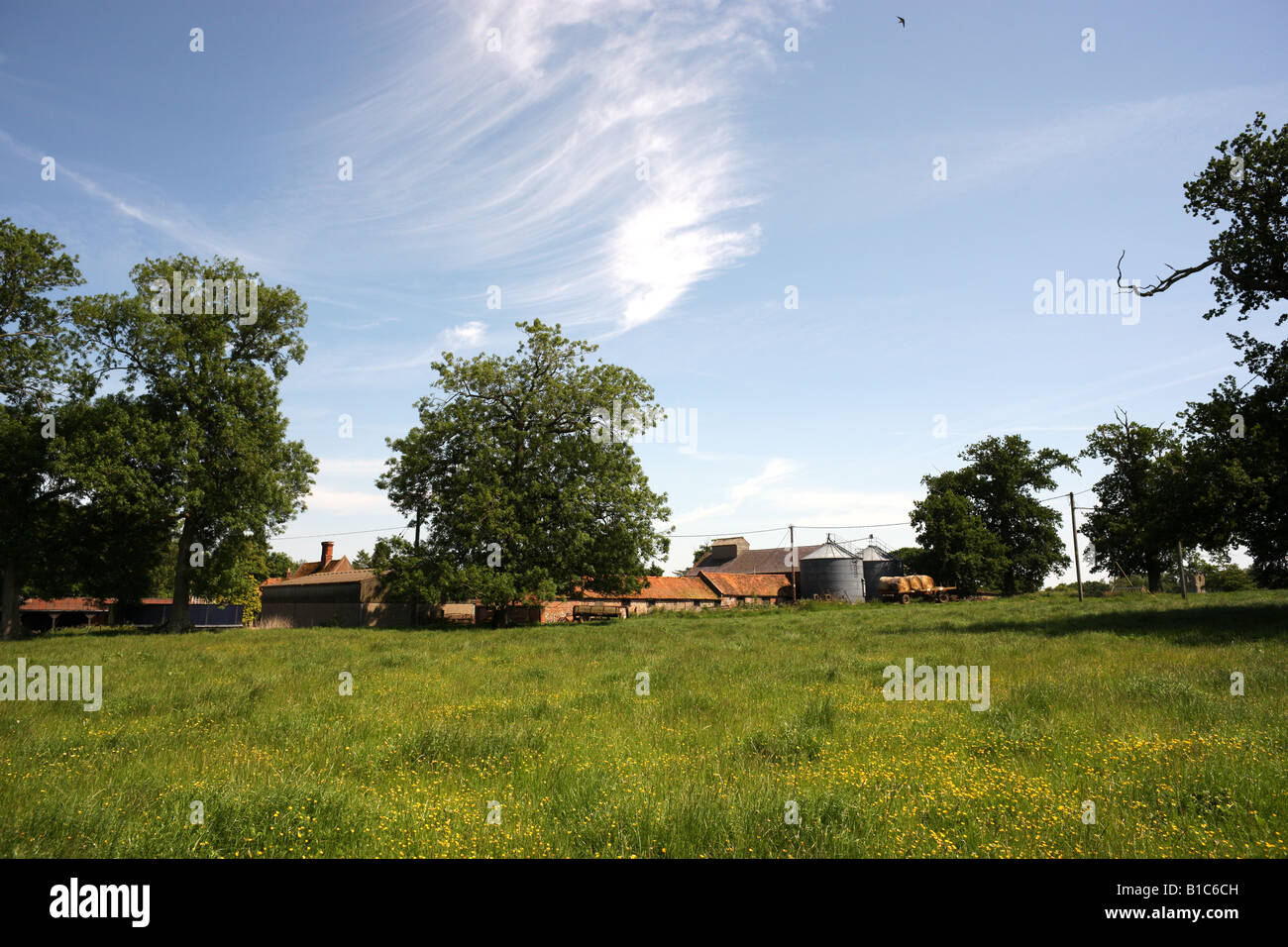 Cheese norfolk hi-res stock photography and images - Alamy