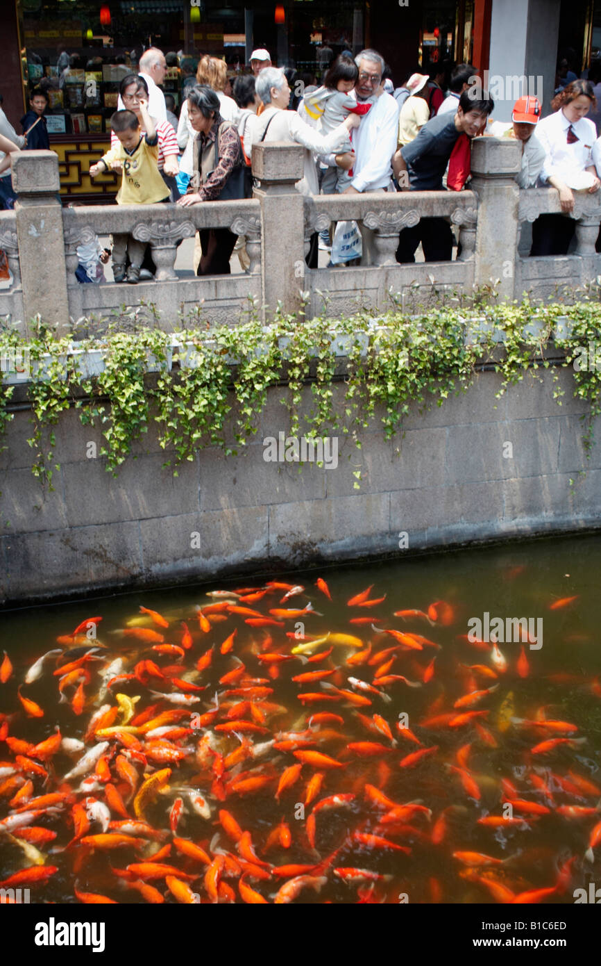 Colourful Koi Carp, Old Shanghai, China Stock Photo - Alamy