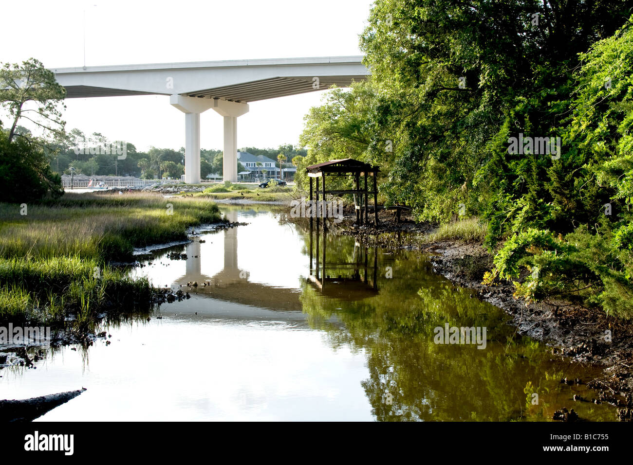 Plants trees under bridge architecture hi-res stock photography and ...