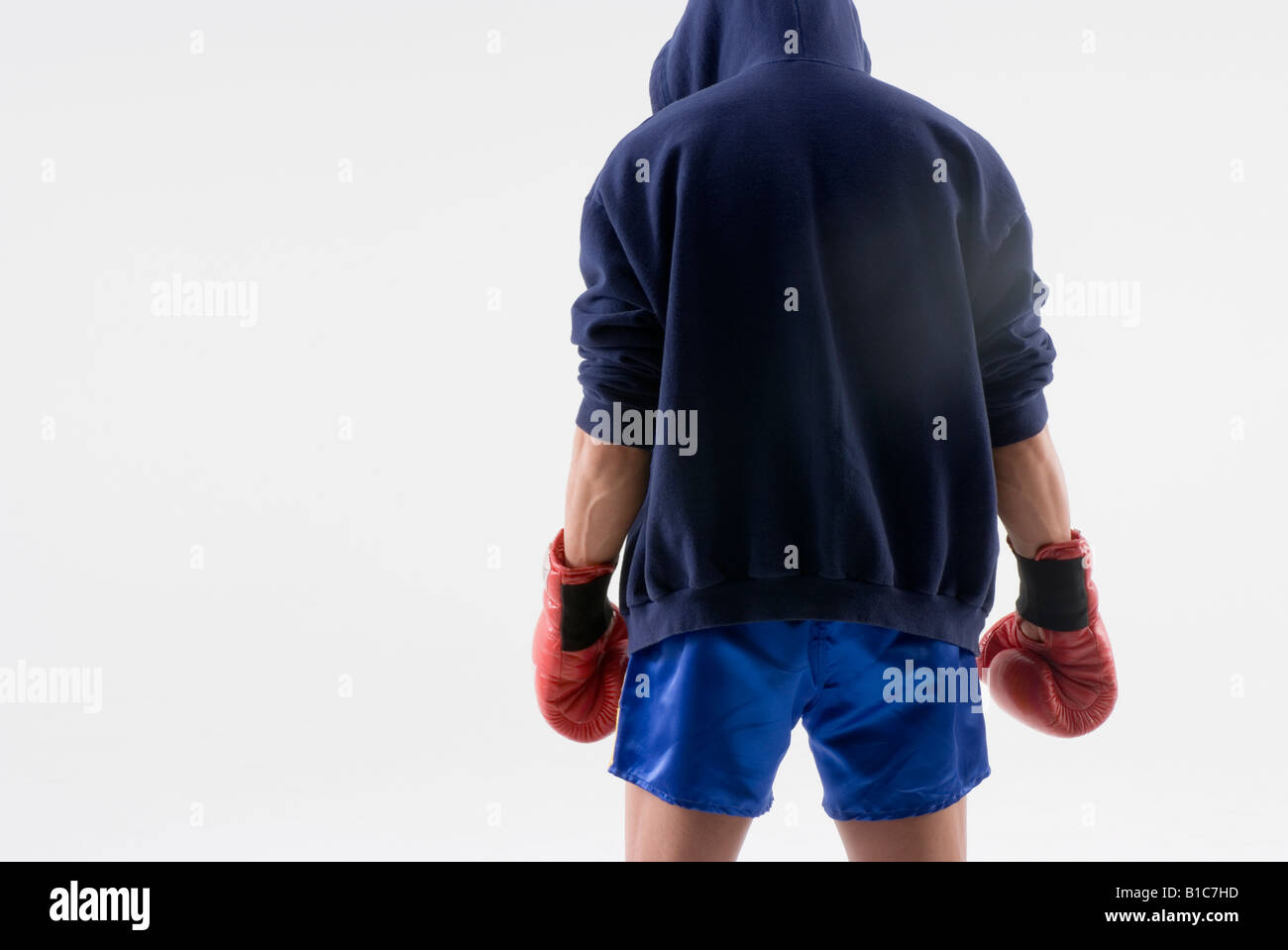 Rear view of boxer standing Stock Photo - Alamy