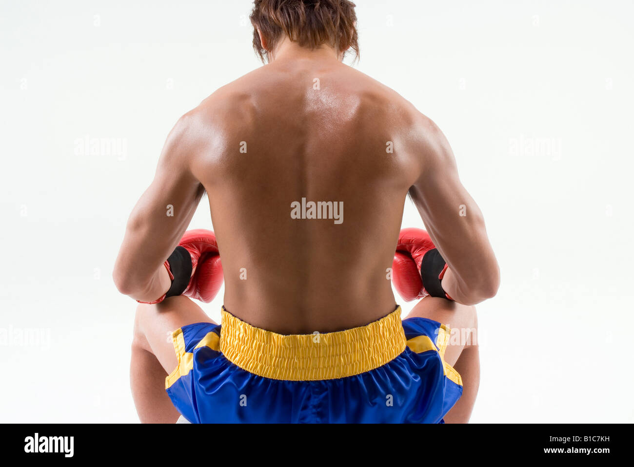 Rear view of boxer sitting Stock Photo - Alamy