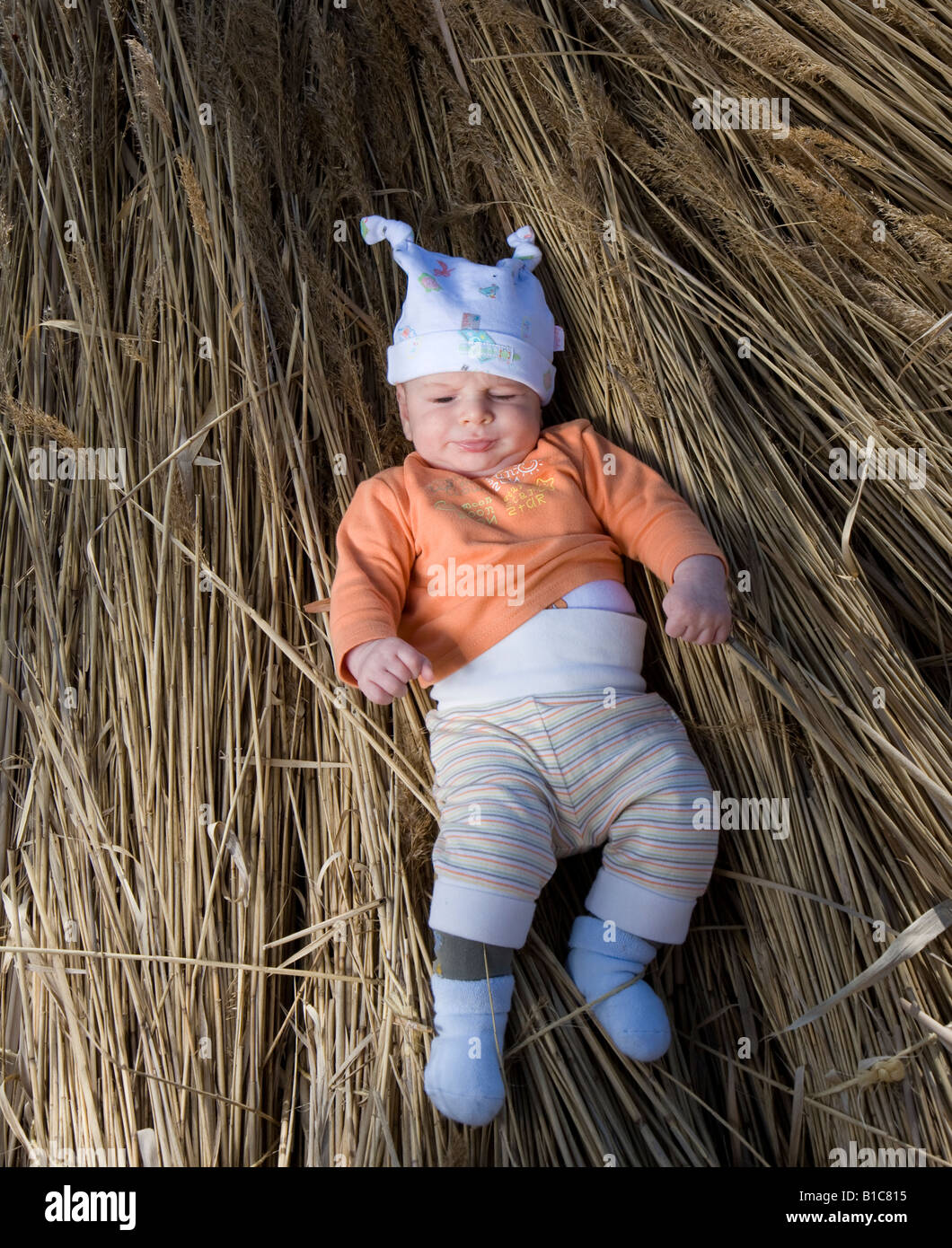 1 0 reed hi-res stock photography and images - Alamy