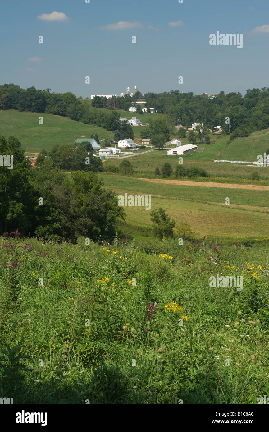 Amish Farm Ohio High Resolution Stock Photography and Images - Alamy
