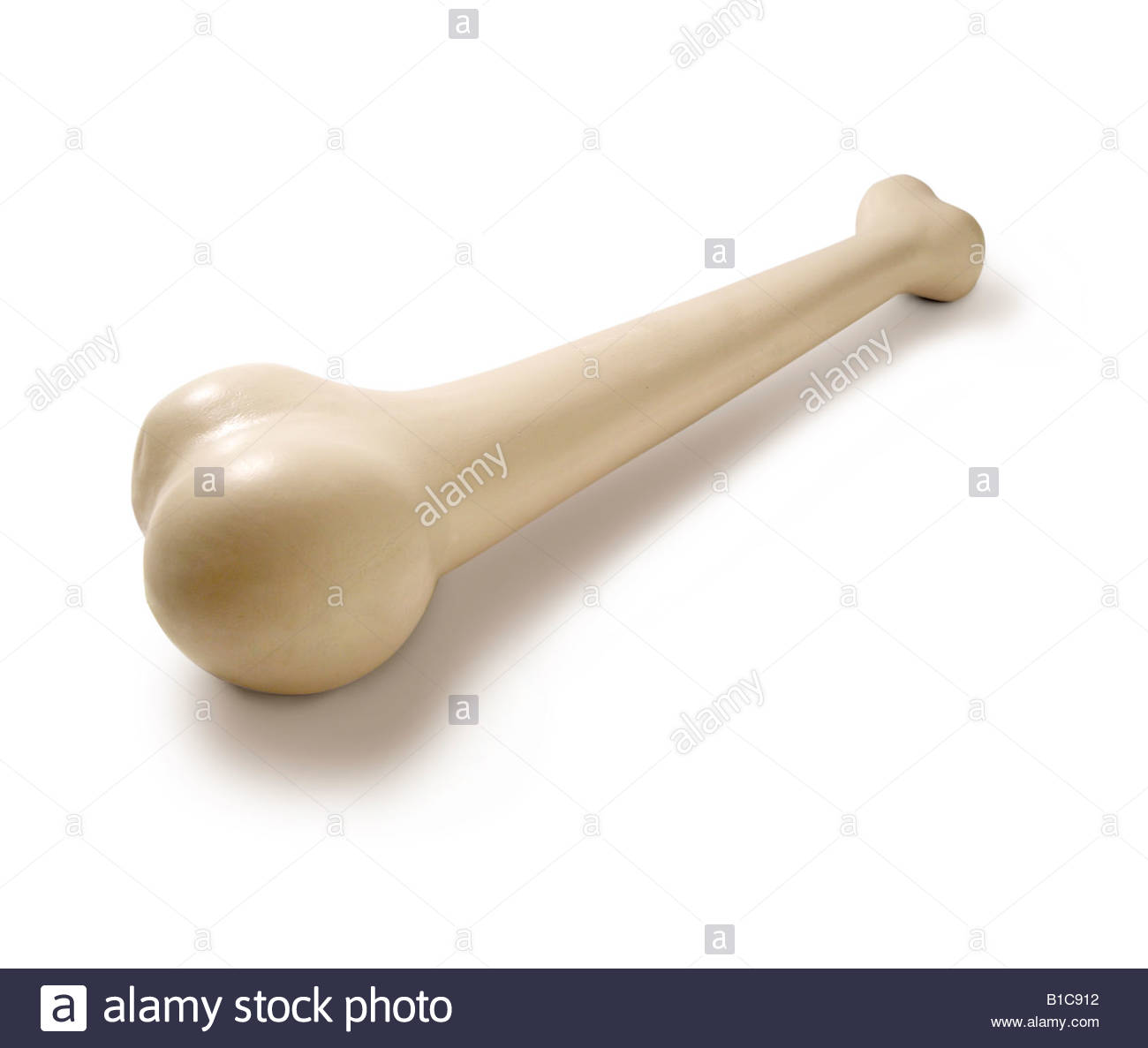 Dog Bone Stock Photos & Dog Bone Stock Images - Alamy