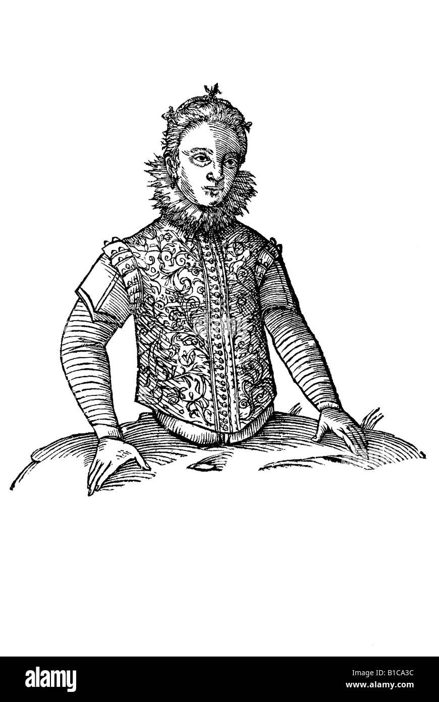 Acormus hi-res stock photography and images - Alamy