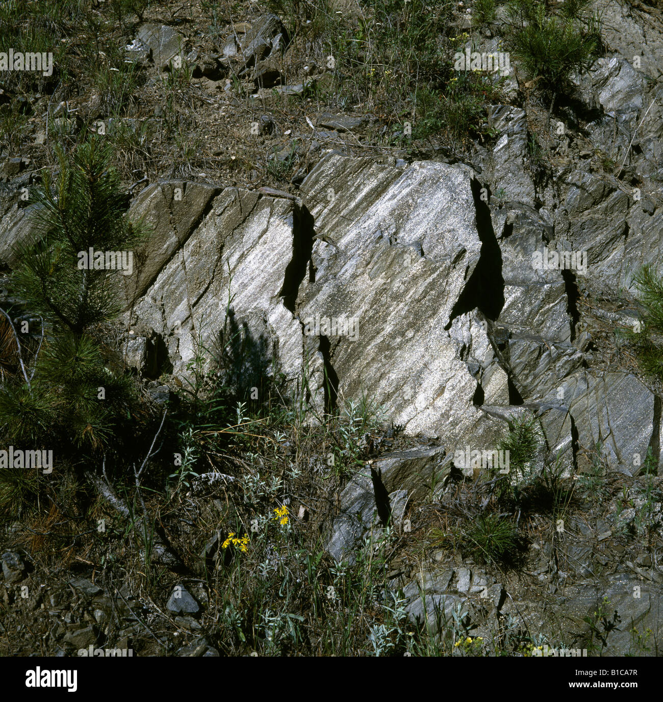 SCHIST A METAMORPHIC ROCK CONTAINING THE MINERAL MICA FROM SOUTH DAKOTA ...