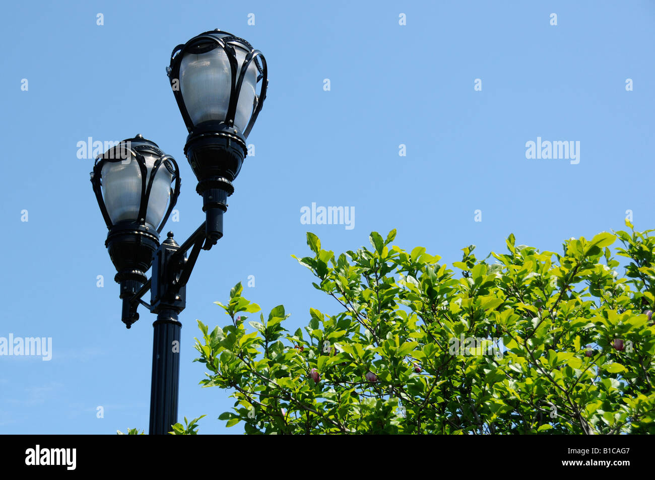 Street lighting in Chicago IL USA Stock Photo - Alamy
