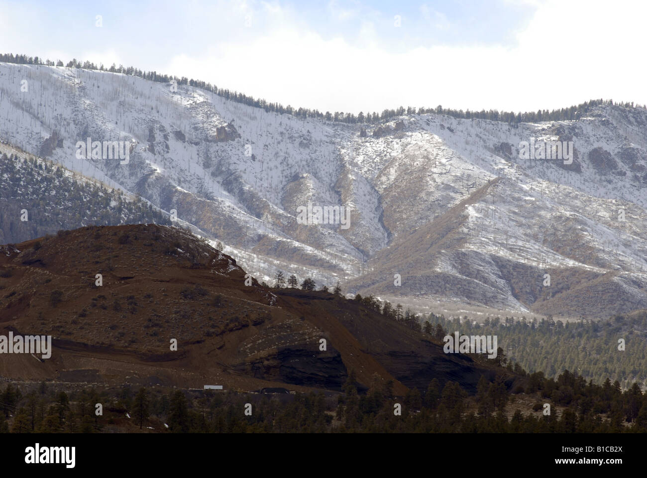 Spring snow on the mountains near Flagstaff Arizona Stock Photo - Alamy