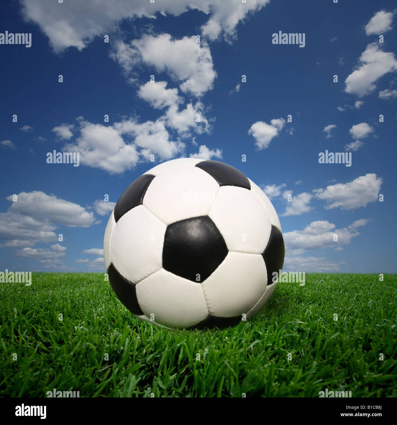 soccer ball on grass Stock Photo - Alamy