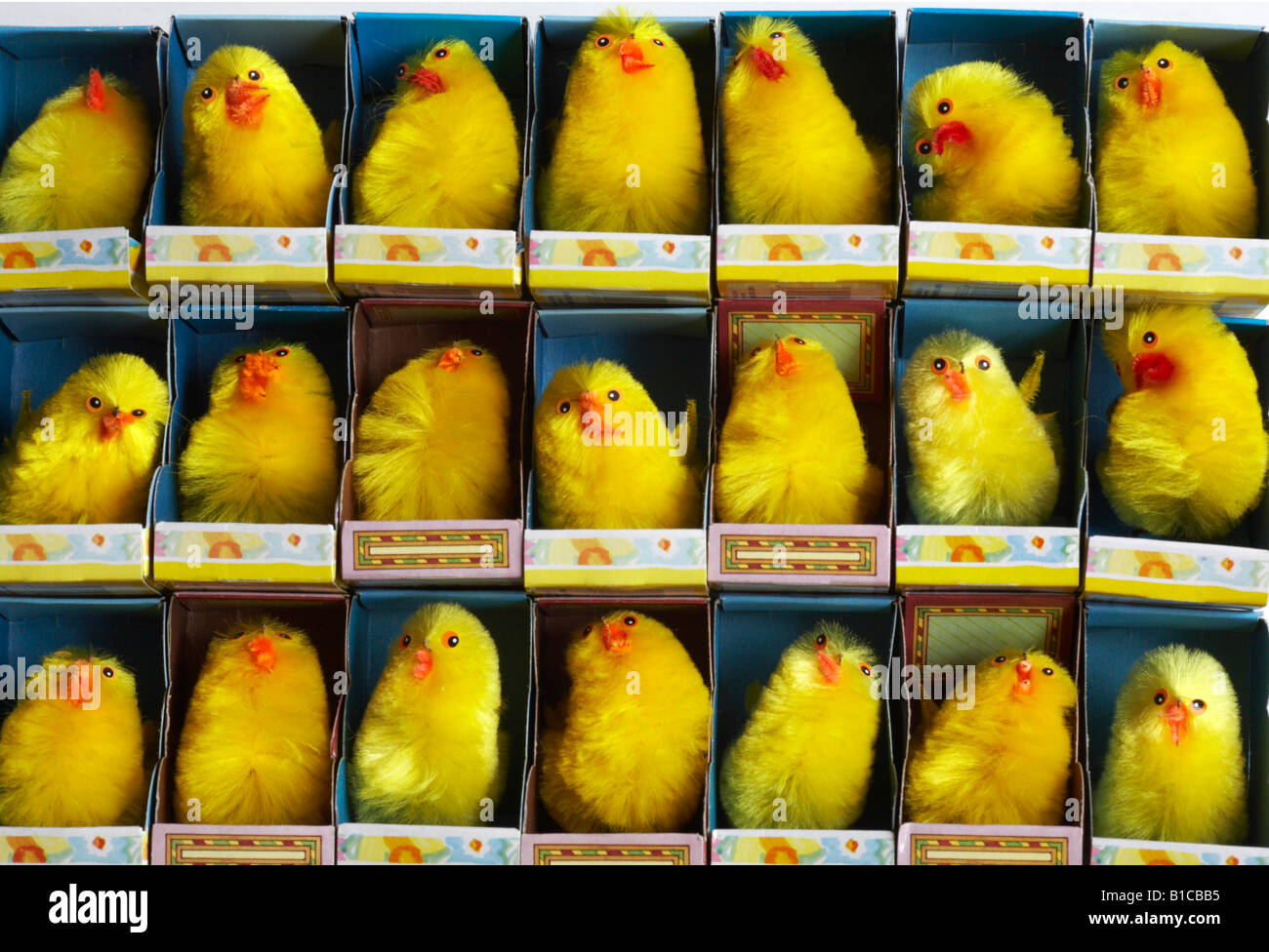 Now we know what battery hens feel like - chickens hens overcrowded ...