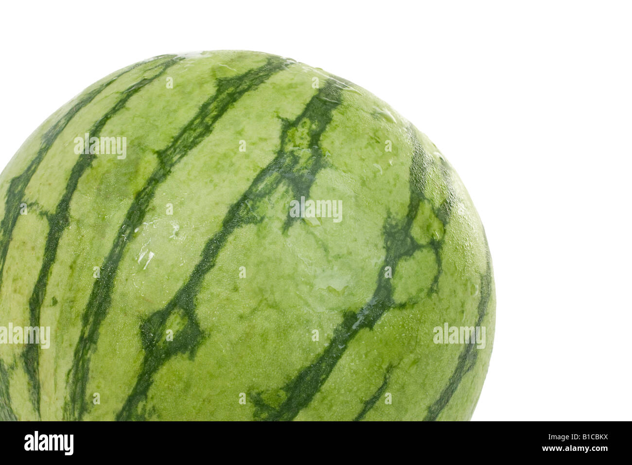 A fresh personal size watermelon with droplets of cool water Stock ...