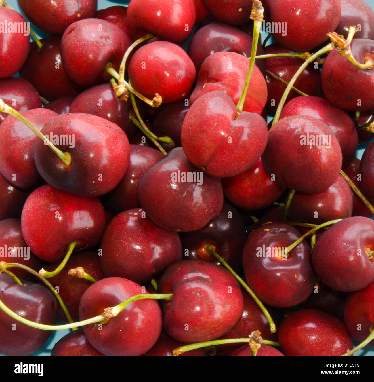 Florida cherries hi-res stock photography and images - Alamy