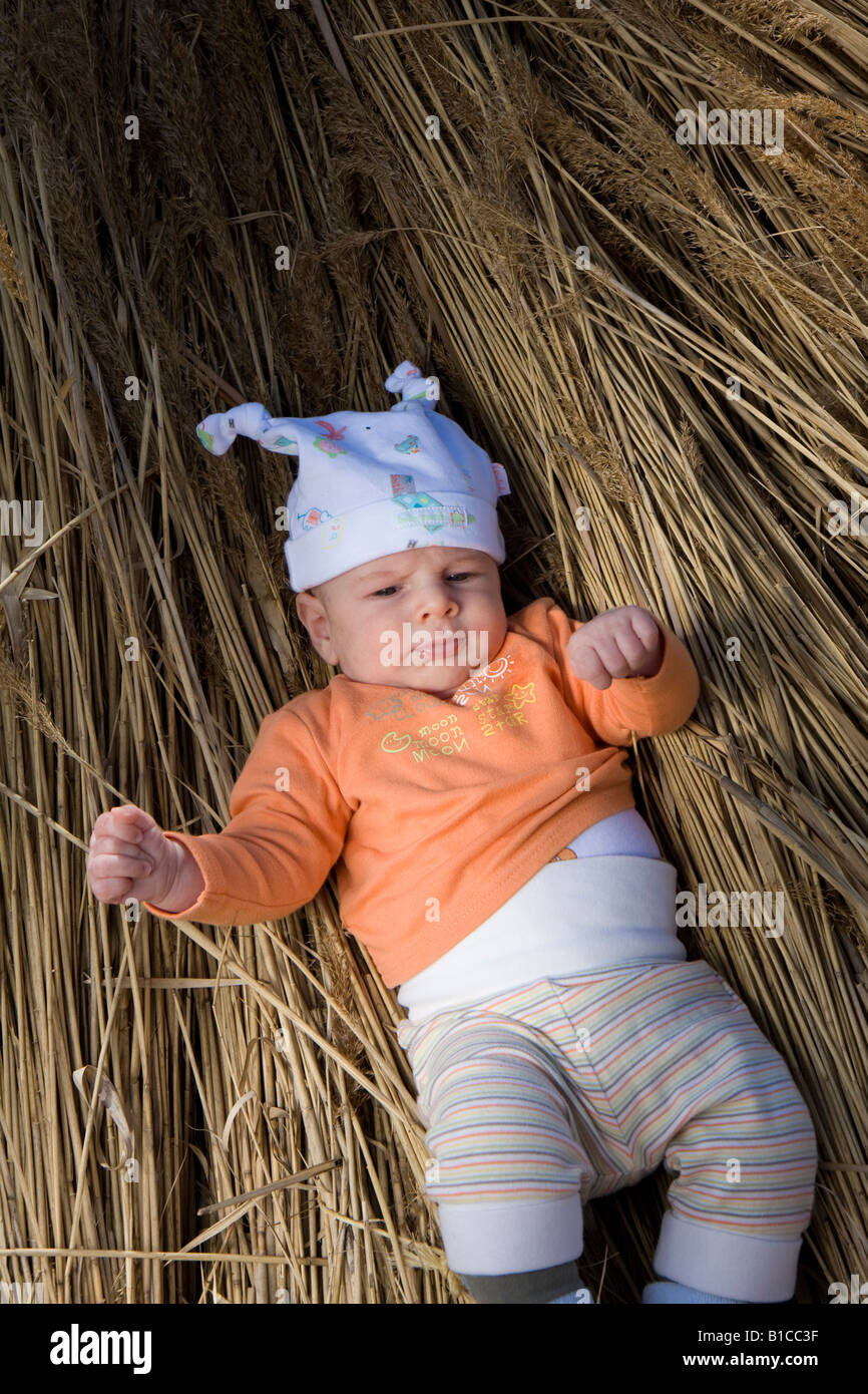 baby liying in reed Stock Photo - Alamy