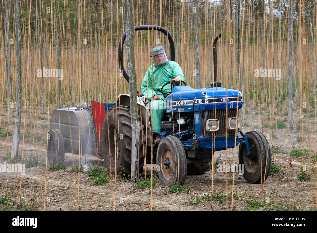 Spraying the hops Stock Photo - Alamy