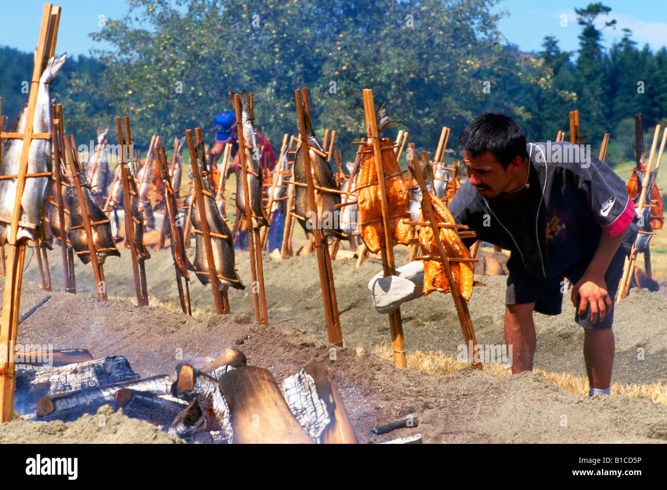 Wild Salmon Bake / Barbecue - Traditional Native Indian Style cooking ...