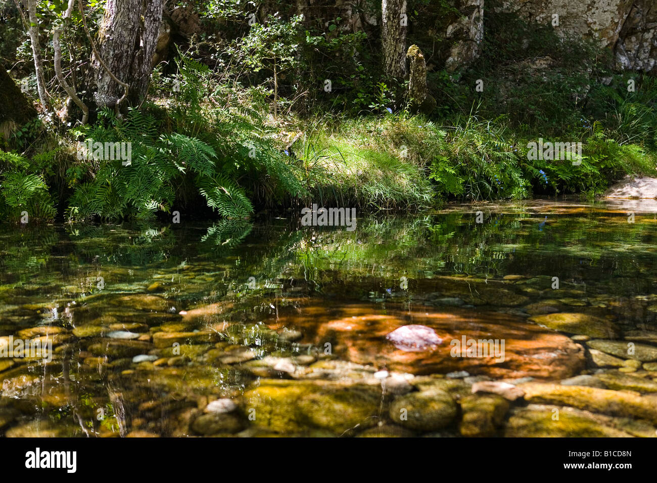 reflections and light interacting in cold stream Stock Photo - Alamy
