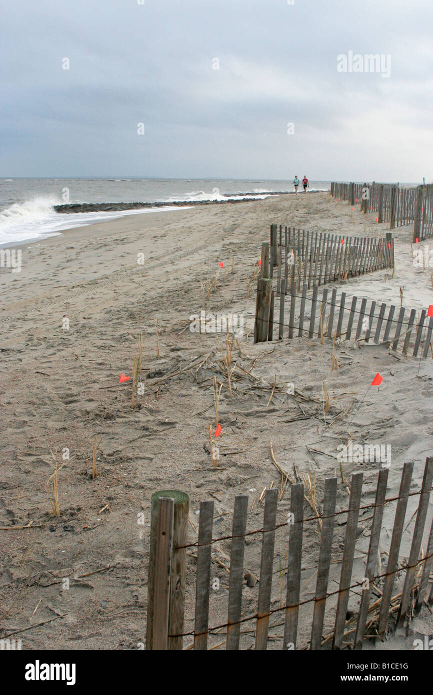 East coast beach sand and grass conservation Stock Photo - Alamy