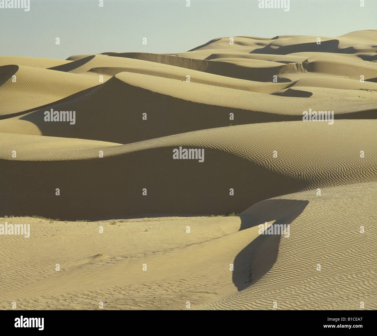 SANDHILLS OF SONORAN DESERT / CALIFORNIA Stock Photo - Alamy
