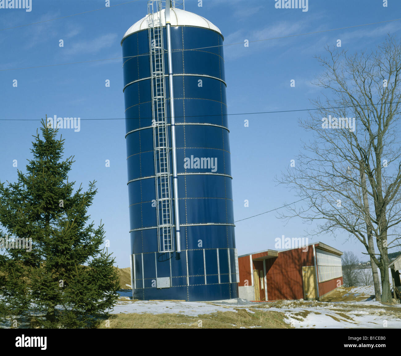 Hog house hi-res stock photography and images - Alamy